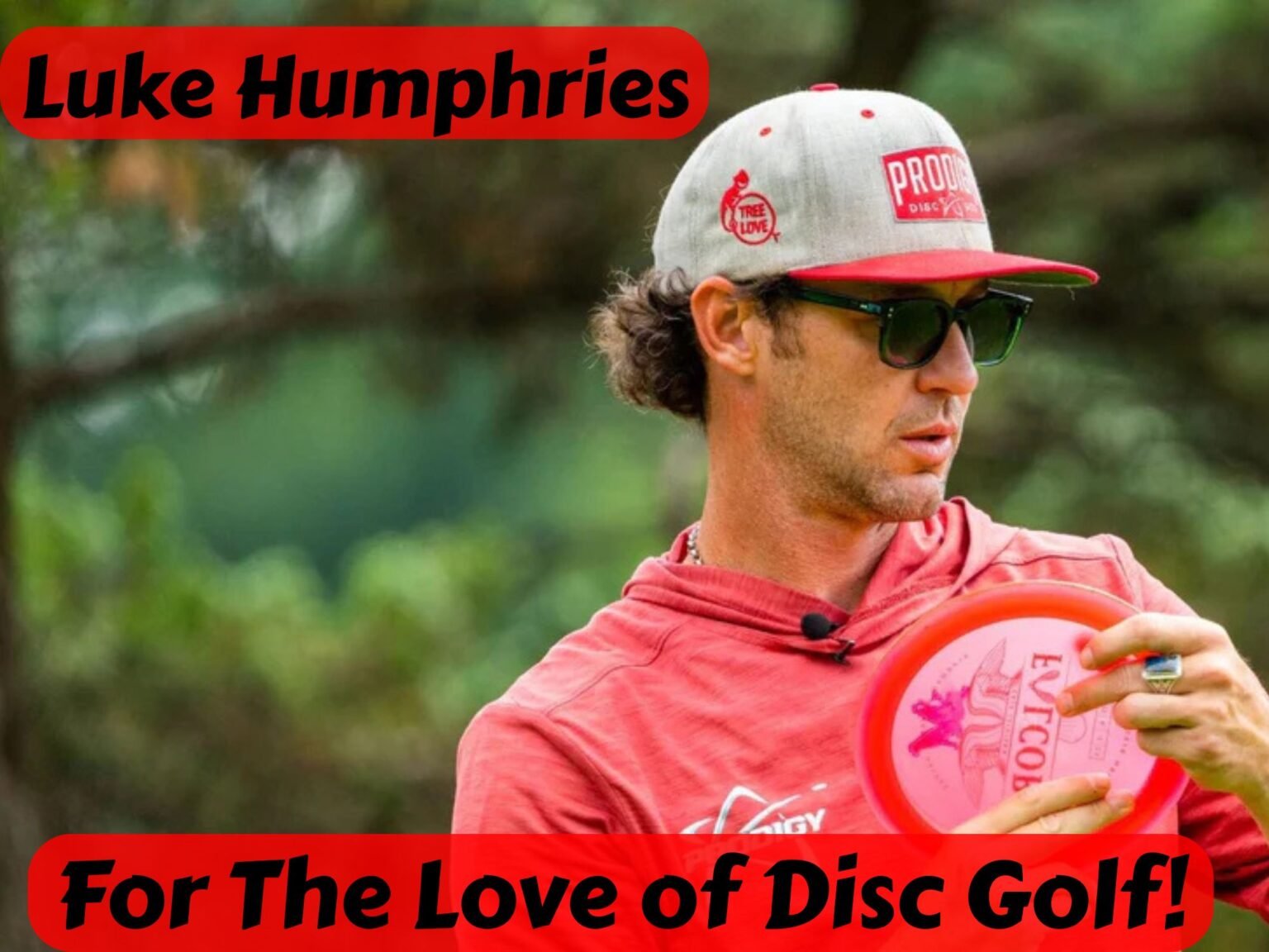 25 Top-Rated Disc Golf Discs of 2025! - Disc Golf Around